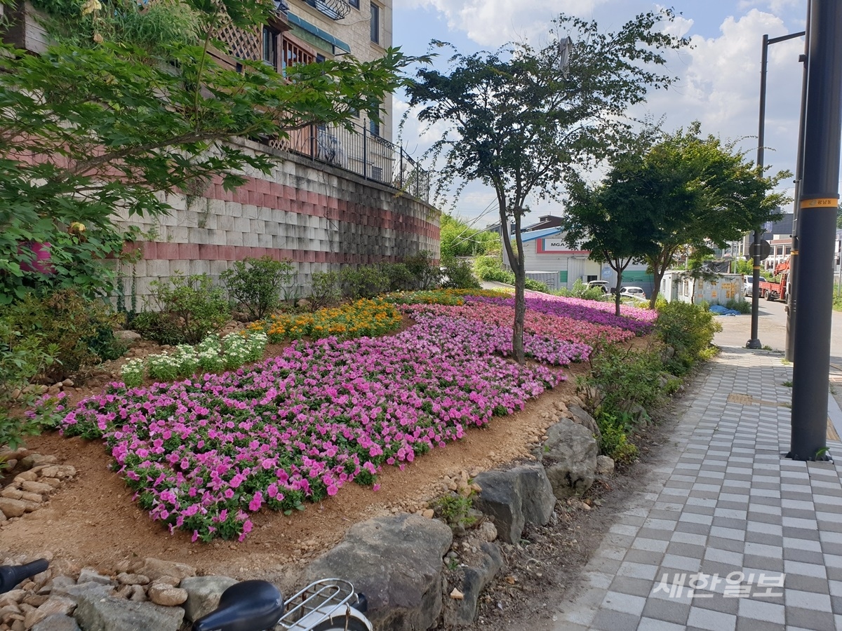 광주시 광남2동, 쓰레기 무단투기 취약지에 화단 조성